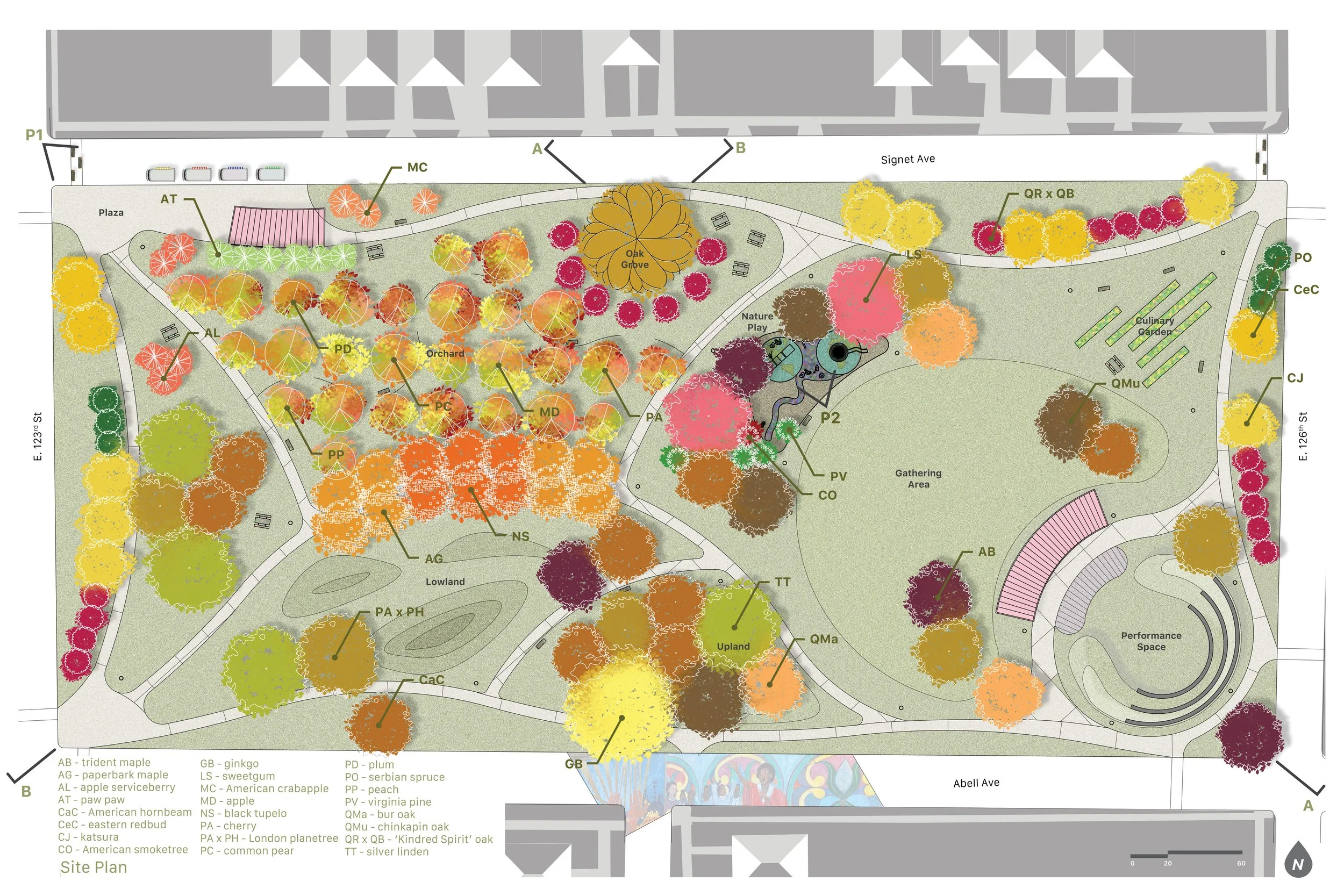Kent State University CAED Landscape Architecture Spring 2023 — X Gallery
