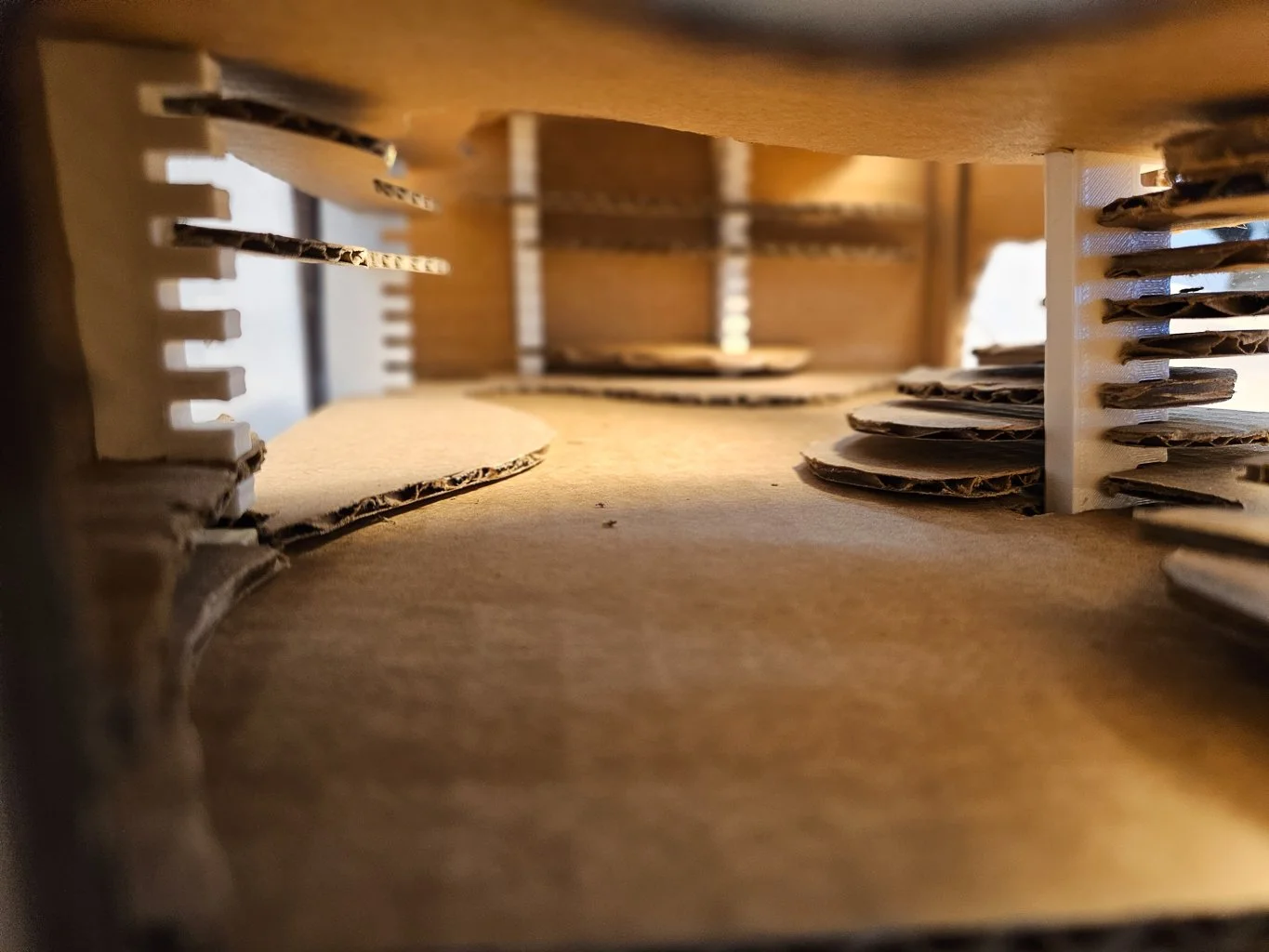 Kent State University CAED Interior Design Fall 2024 First Year — X ...