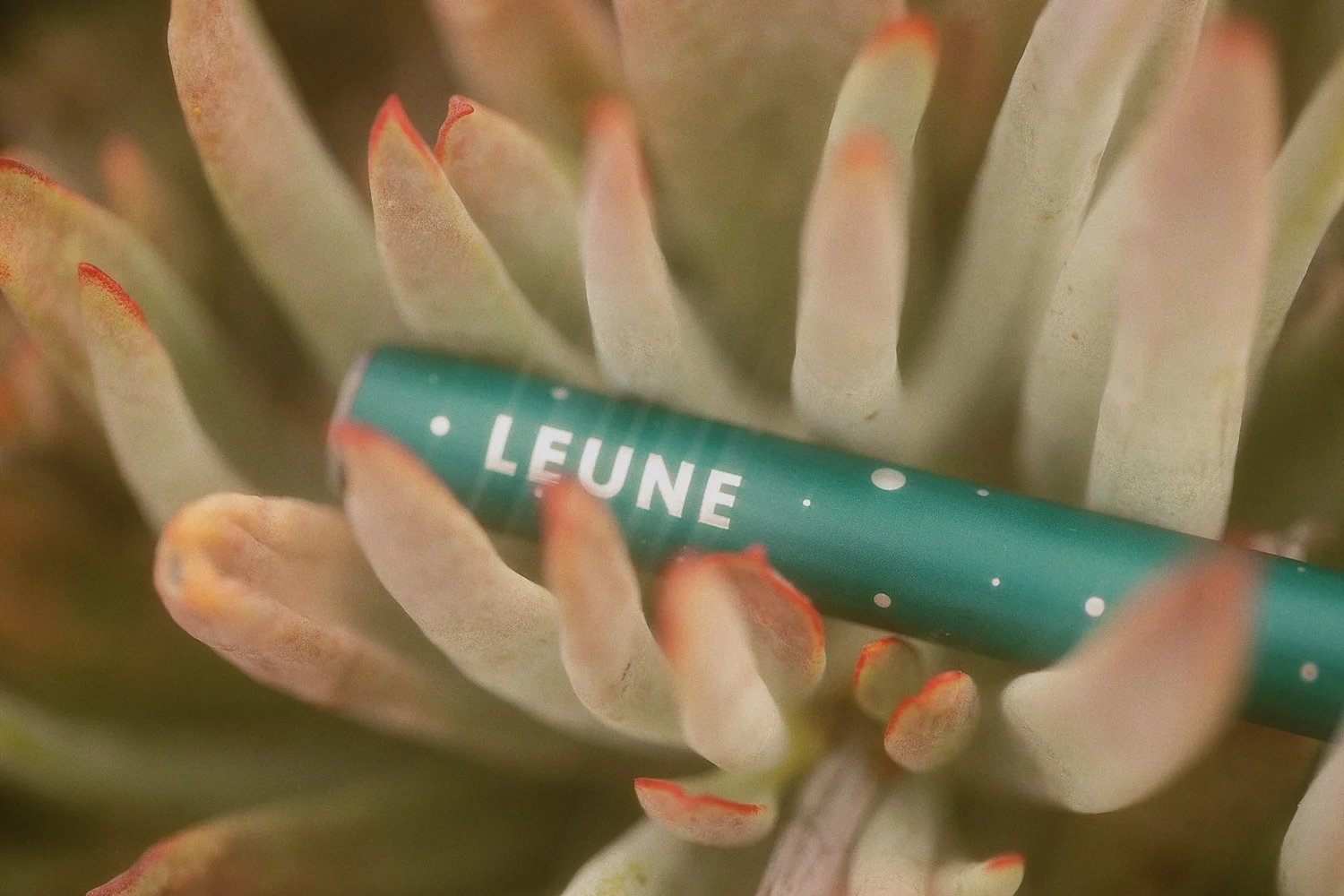 New Mexico Cannabis Market Thrives in First Year of Legalization | LEUNE