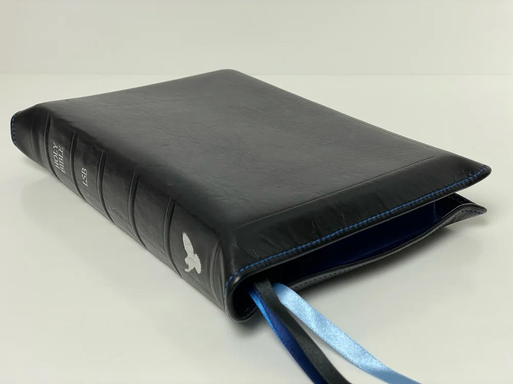 Resurrection Rebinding