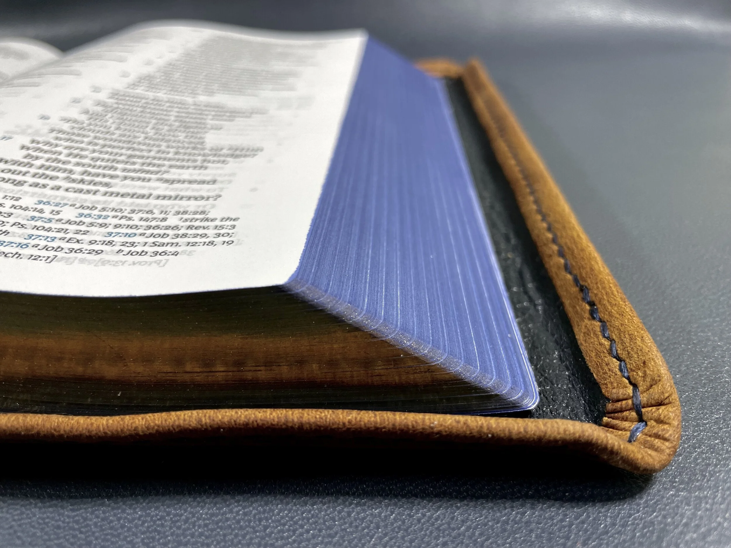 Resurrection Rebinding's Bible Rebinding Perimeter Stitching ...