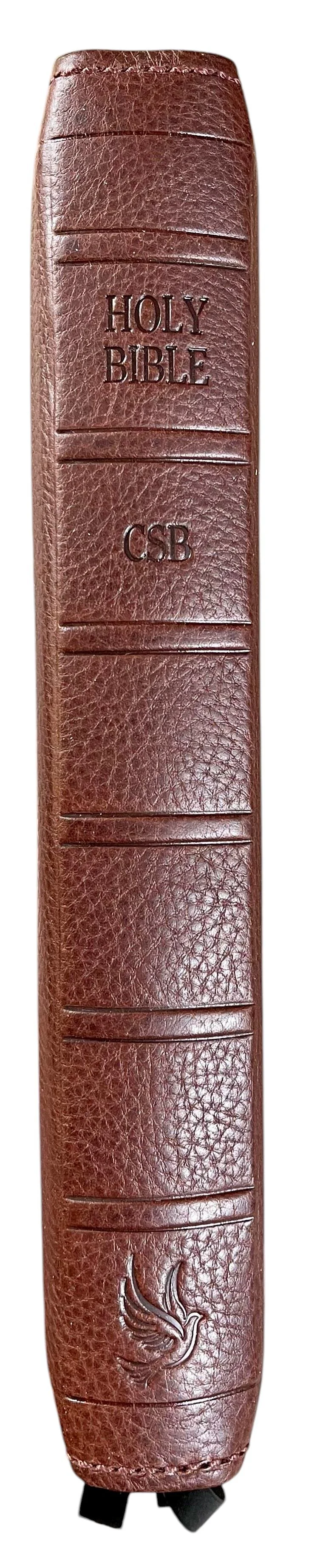 Design Your Bible's Spine — Resurrection Rebinding