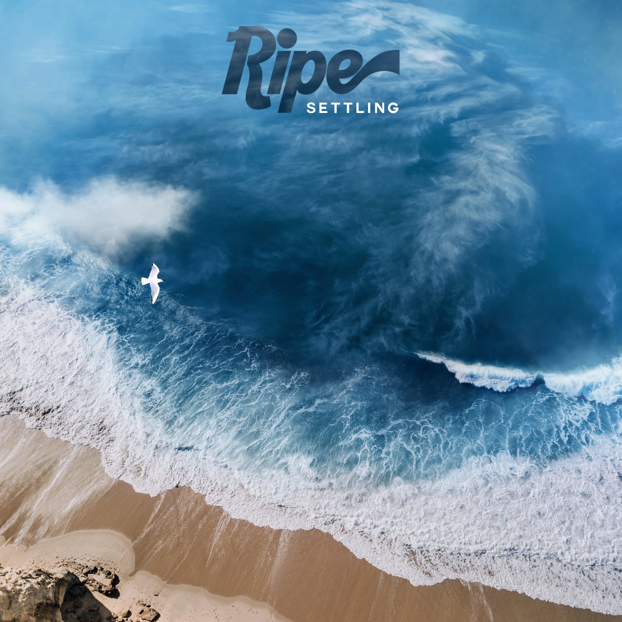 Music + Videos — Ripe