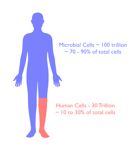 APPENDIX: WHAT IS IT GOOD FOR? — The Dish on Science