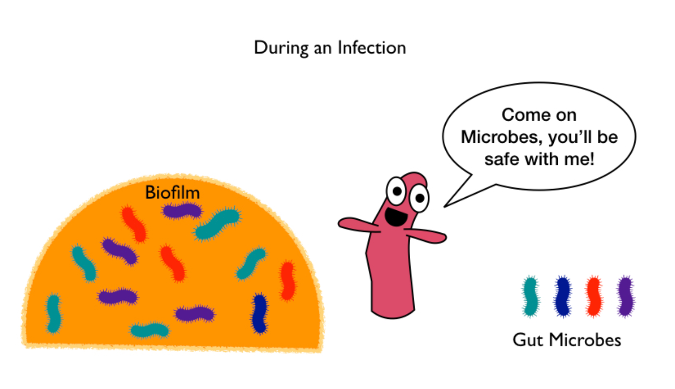 APPENDIX: WHAT IS IT GOOD FOR? — The Dish on Science