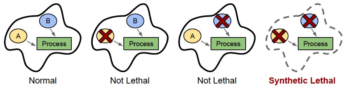 SYNTHETIC LETHALITY: A NEW ANGLE FOR CANCER THERAPY — The Dish on Science
