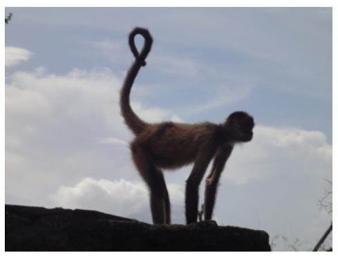 ONCE UPON A TIME IN SCIENCE: IMAGINATION’S ROLE IN SCIENCE — The Dish ...