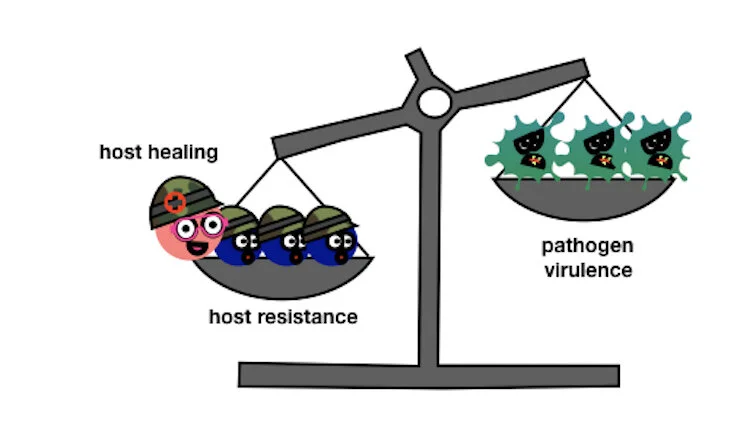 CYTOKINES: DEADLY STORMS OF THE IMMUNE SYSTEM — The Dish on Science