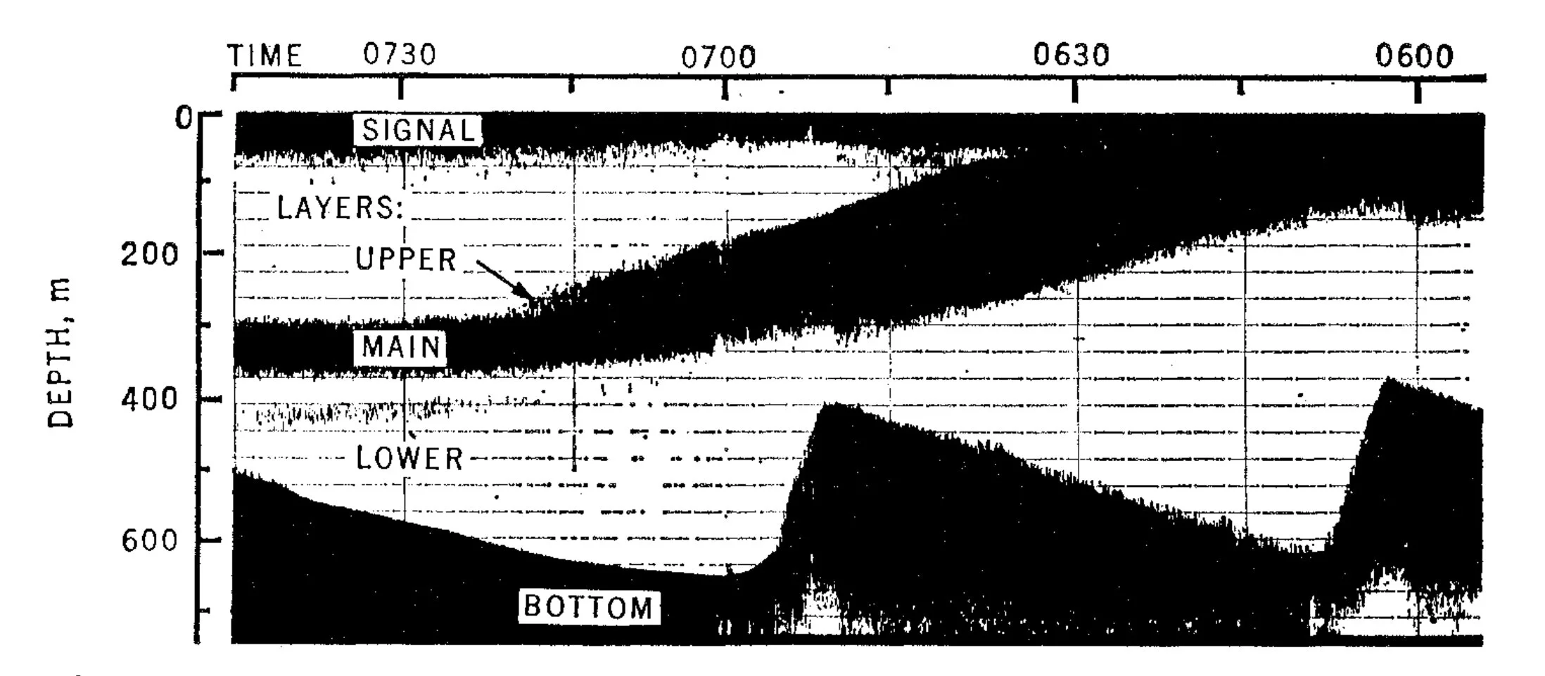 TINY FINS MAKING A BIG SPLASH — The Dish on Science