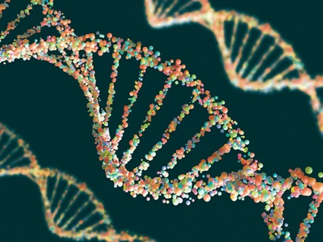 Topics — The Dish on Science