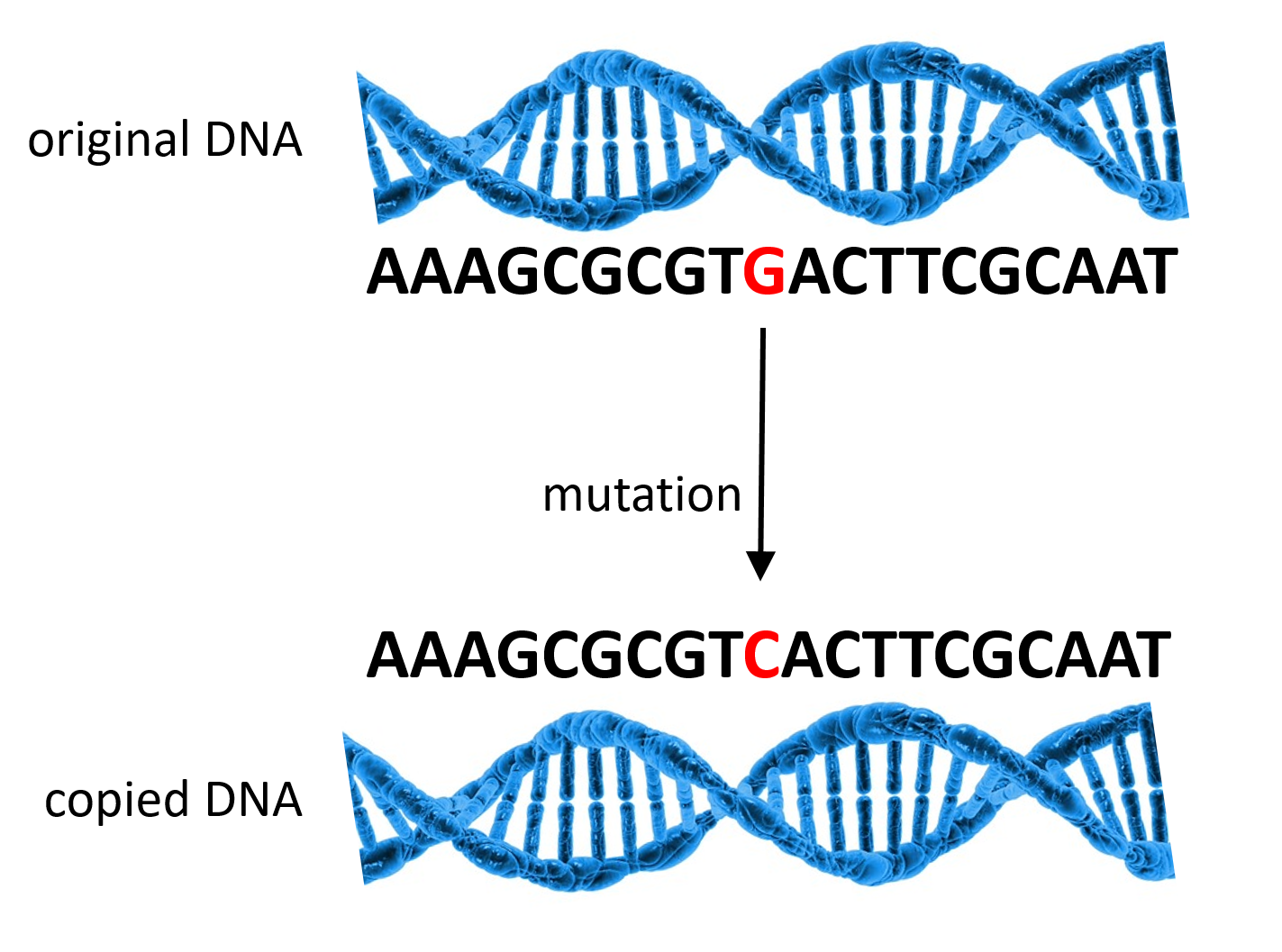 THE ESSENCE OF LIFE — The Dish on Science