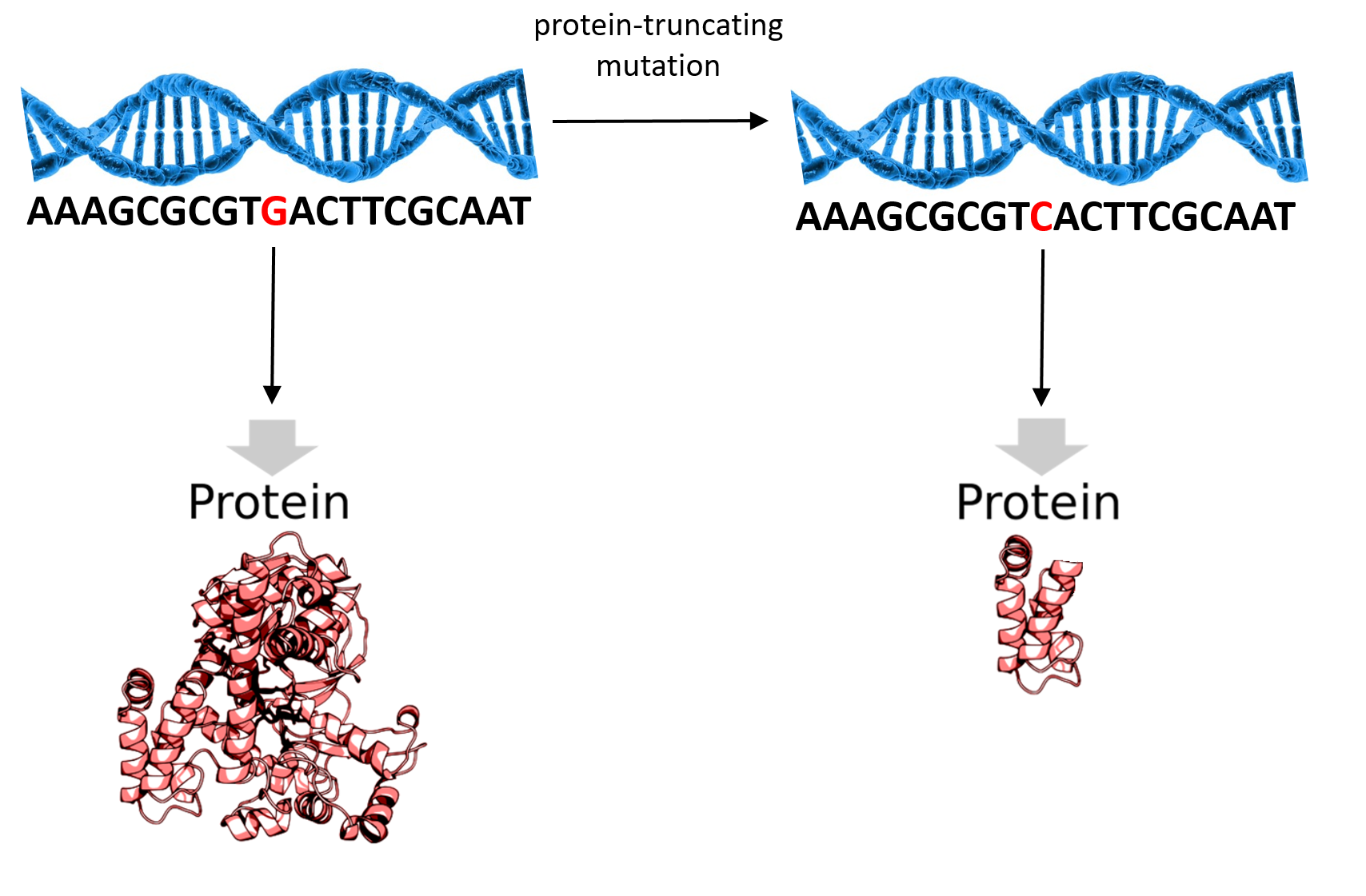 THE ESSENCE OF LIFE — The Dish on Science