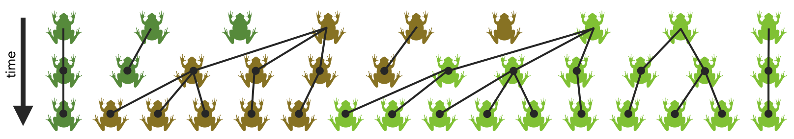 WHAT IS (AND WHAT ISN’T) EVOLUTION — The Dish on Science