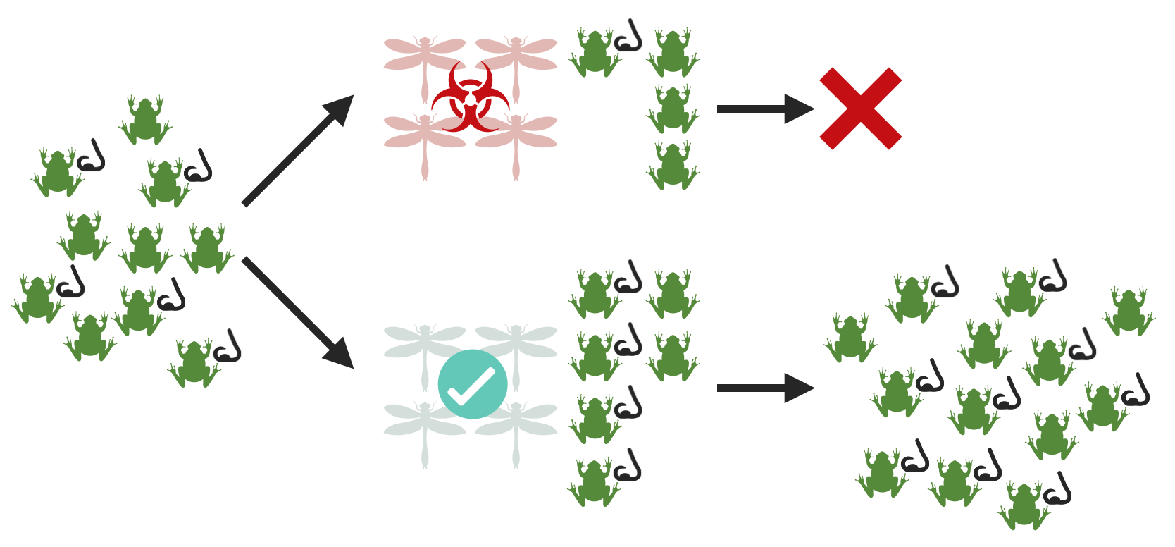 WHAT IS (AND WHAT ISN’T) EVOLUTION — The Dish on Science