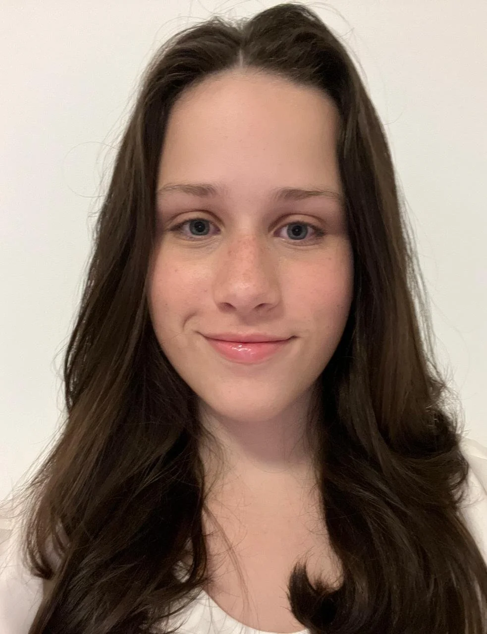 Senior Special Committee 1 — Rio Model United Nations