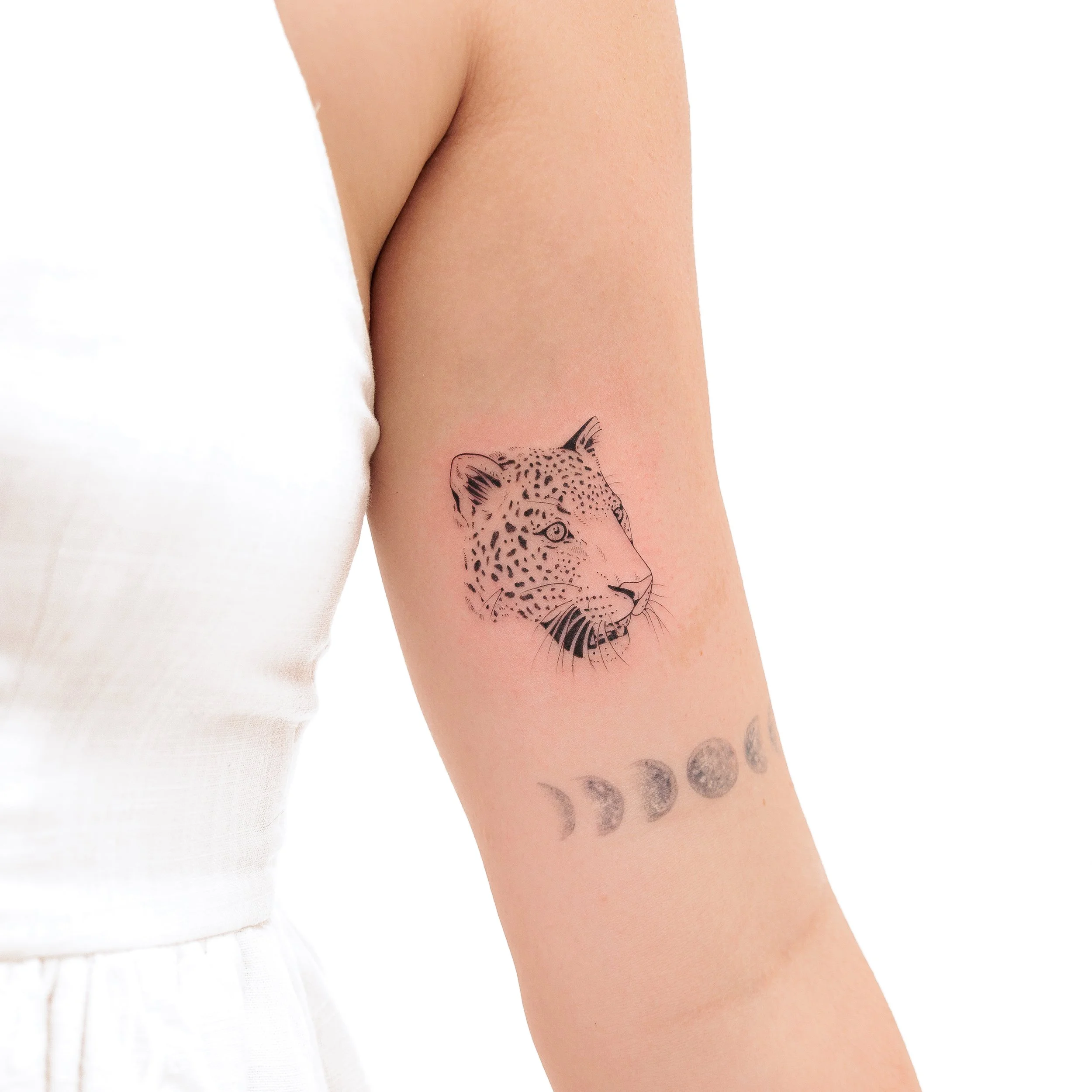 Sav. — A Q U A T I C A T A T T O O