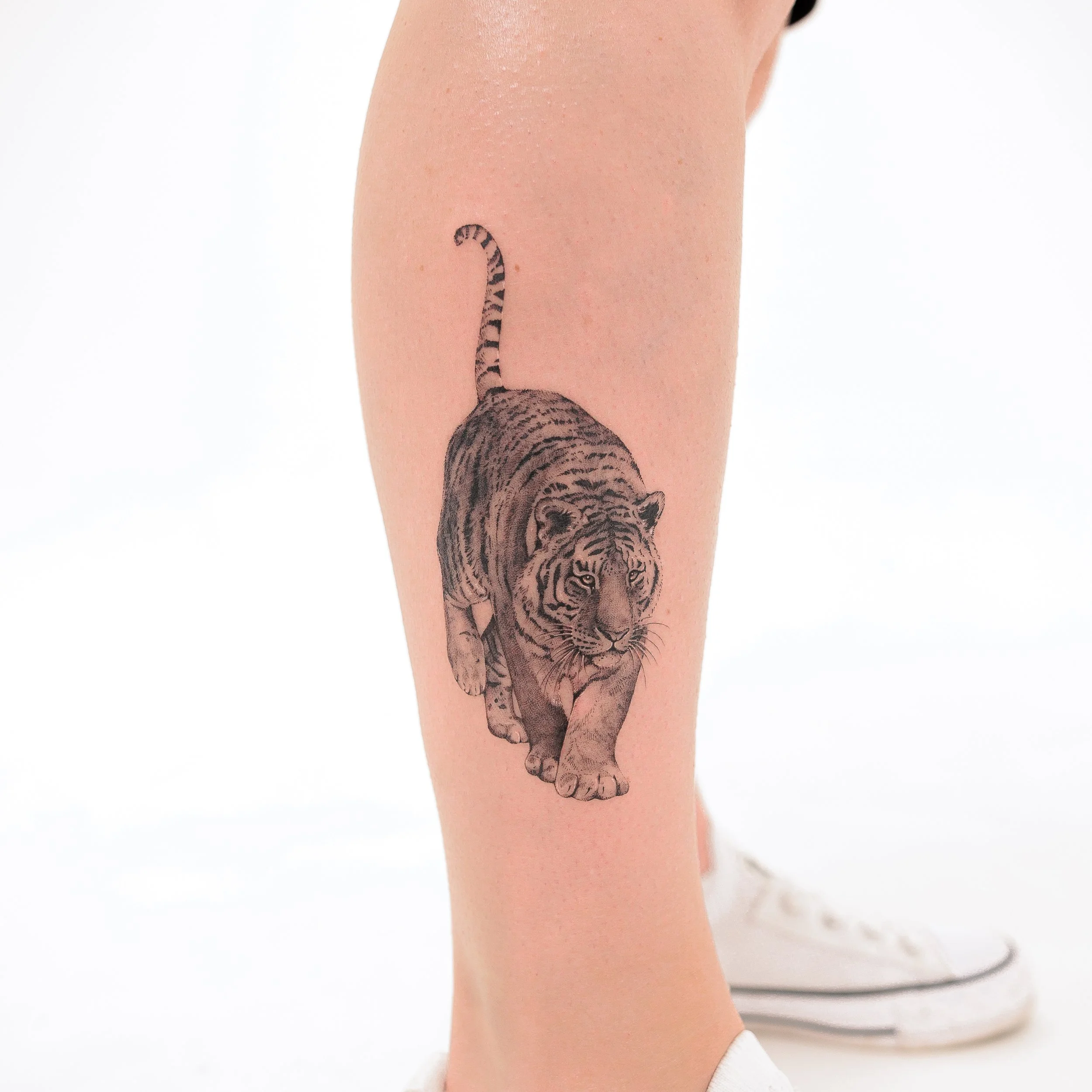 Sav. — A Q U A T I C A T A T T O O