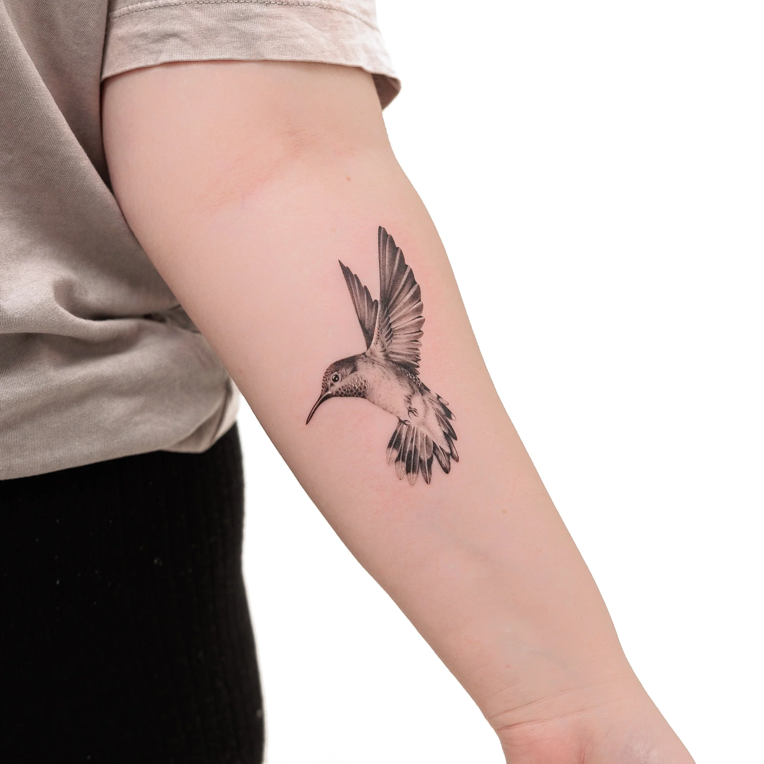 Sav. — A Q U A T I C A T A T T O O