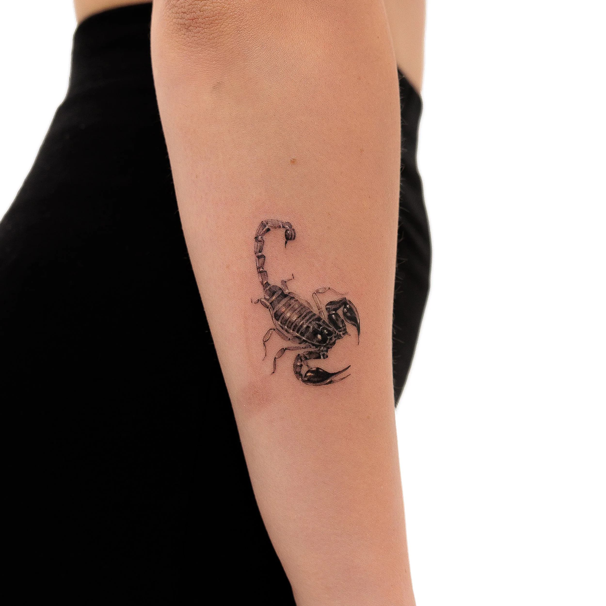 Sav. — A Q U A T I C A T A T T O O