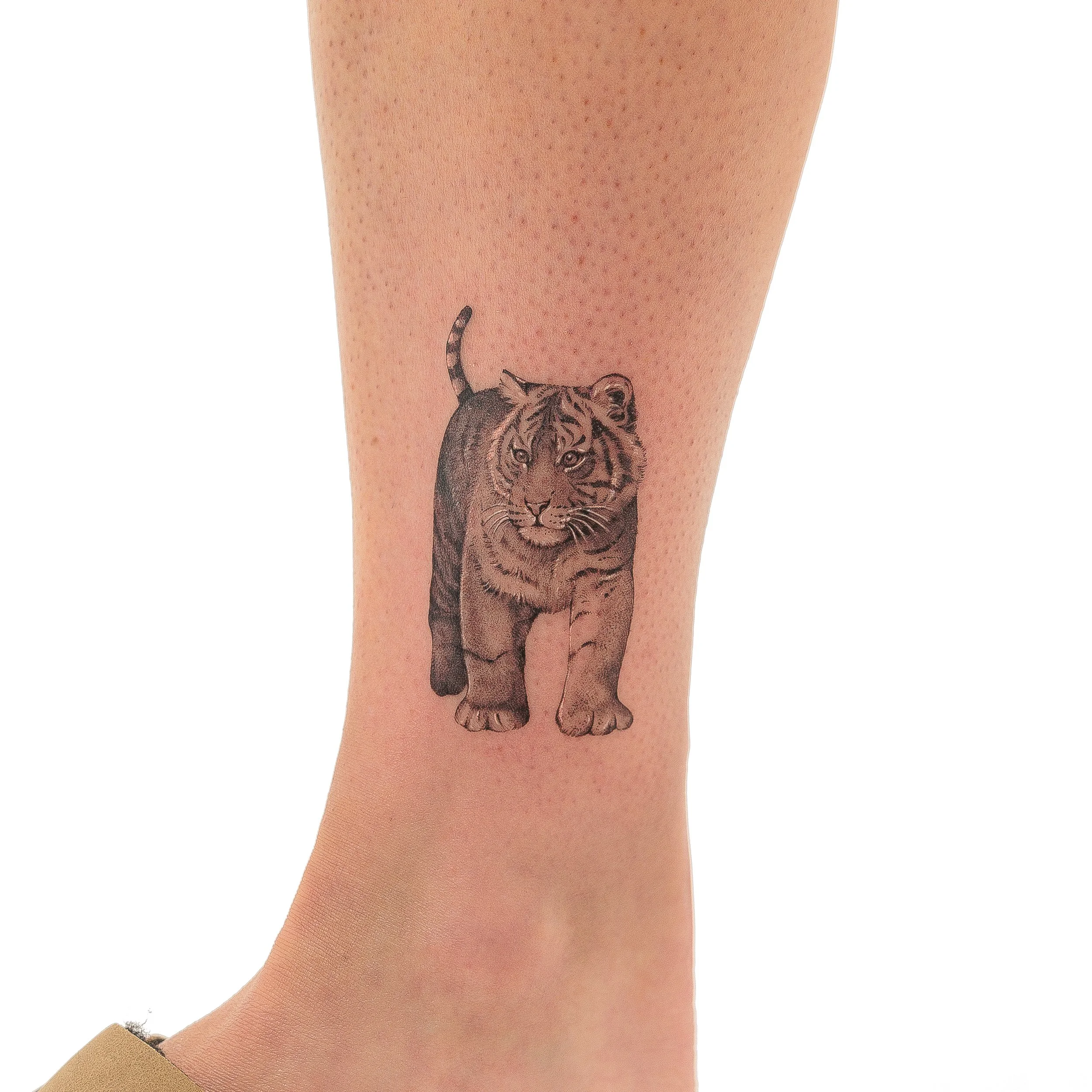 Sav. — A Q U A T I C A T A T T O O