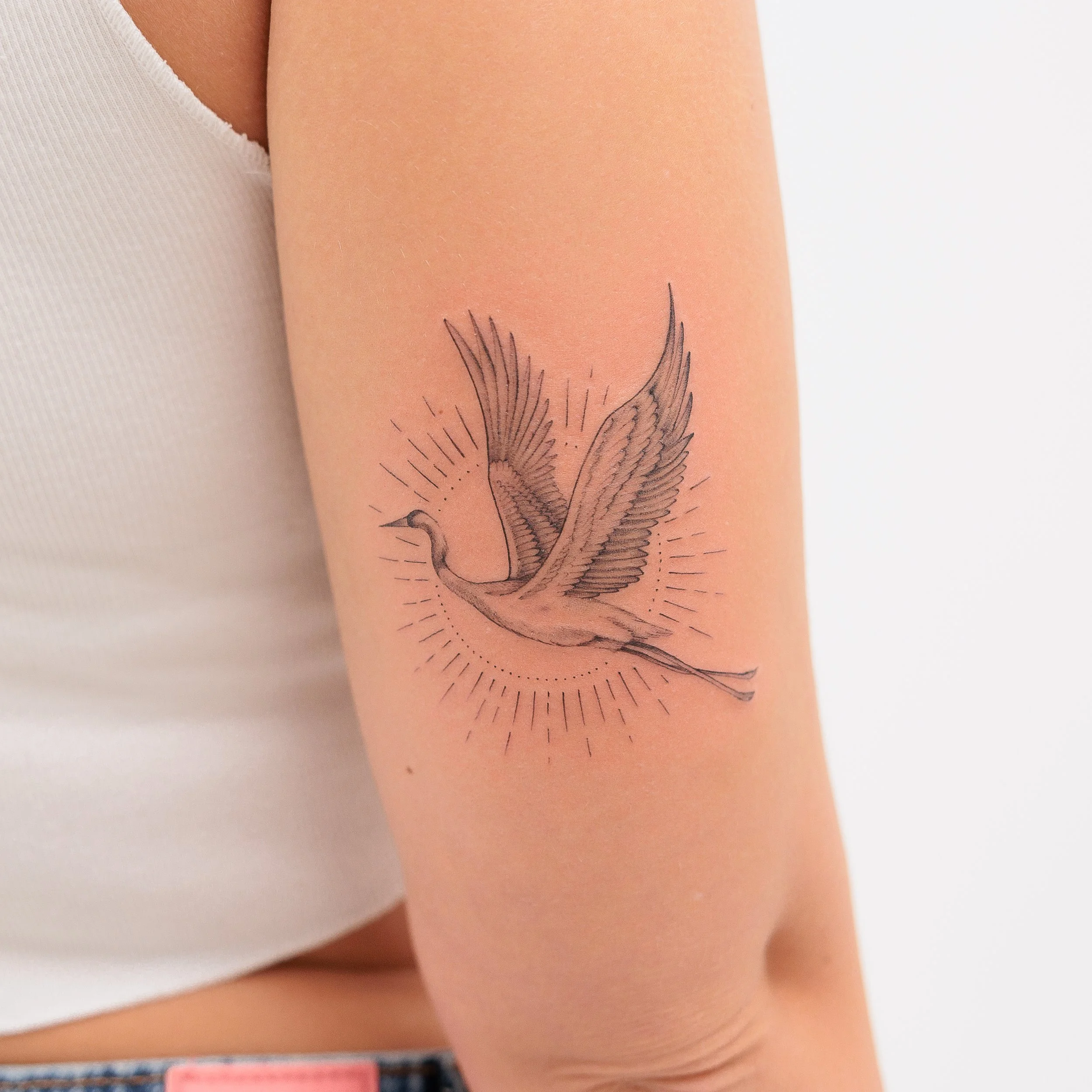 Sav. — A Q U A T I C A T A T T O O