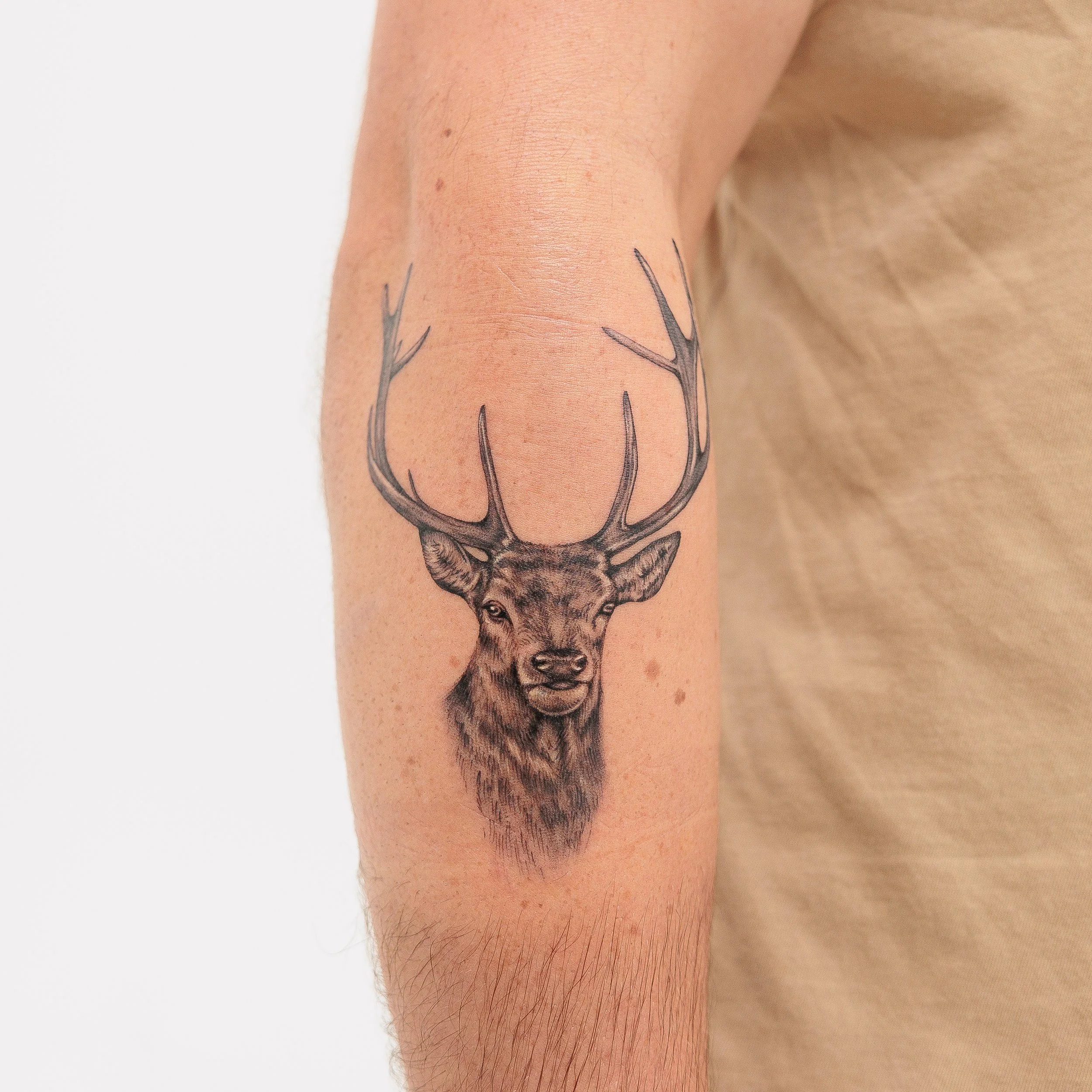 Sav. — A Q U A T I C A T A T T O O