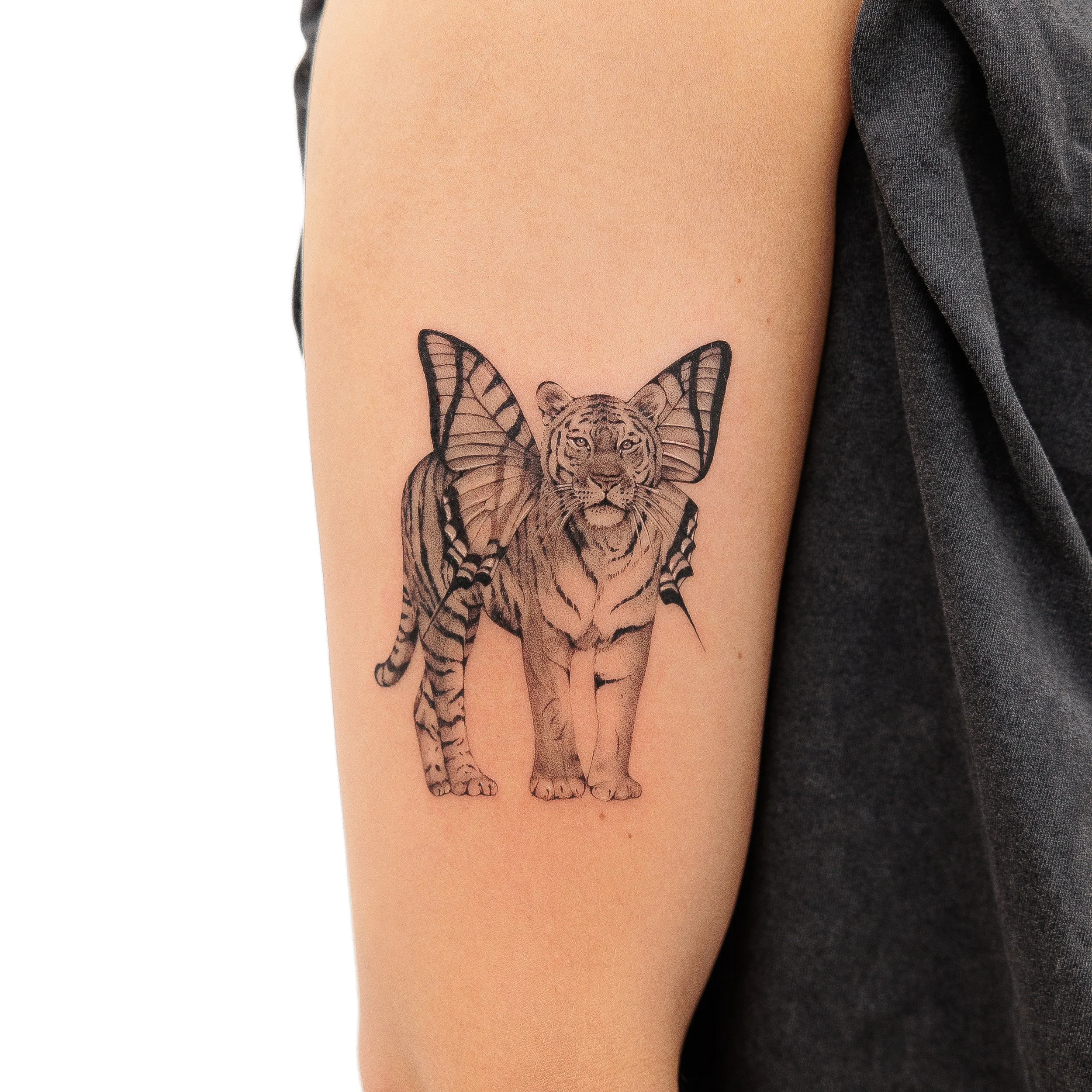 Sav. — A Q U A T I C A T A T T O O