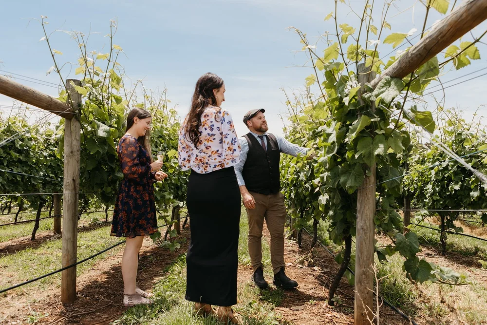 Travel Apps | Tamar Valley Wine