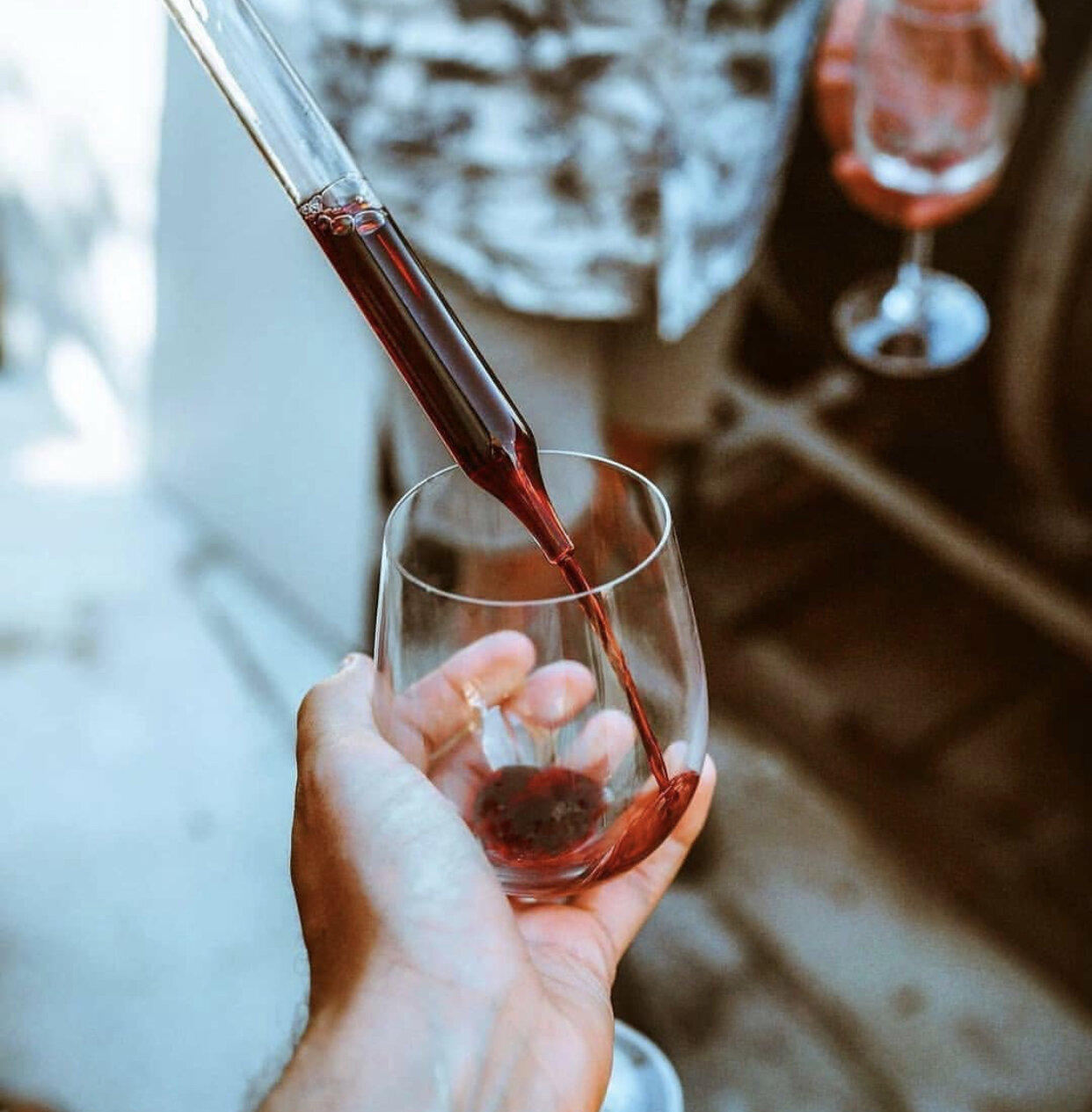 Best Tasmanian Wine Varieties | Tamar Valley Wine