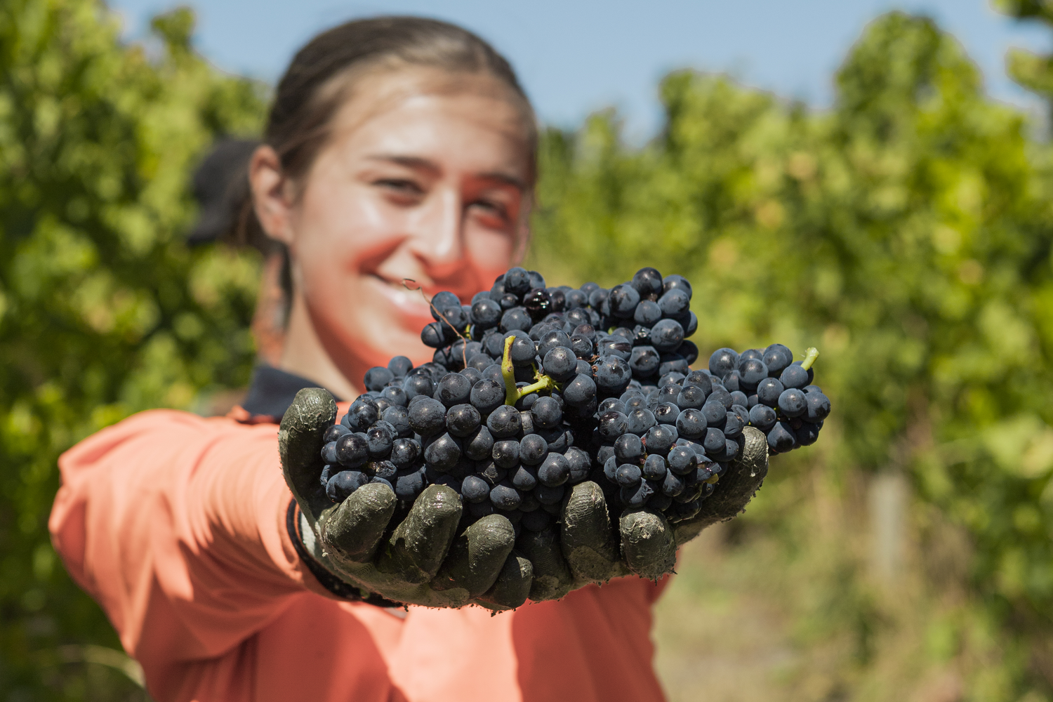 Open a Conversation | Tamar Valley Wine