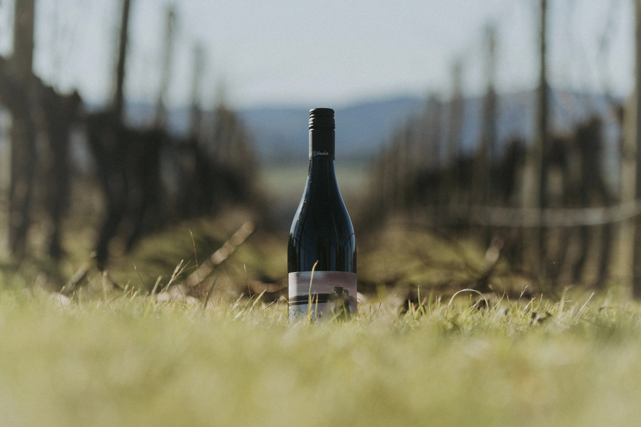 Open a Conversation | Tamar Valley Wine