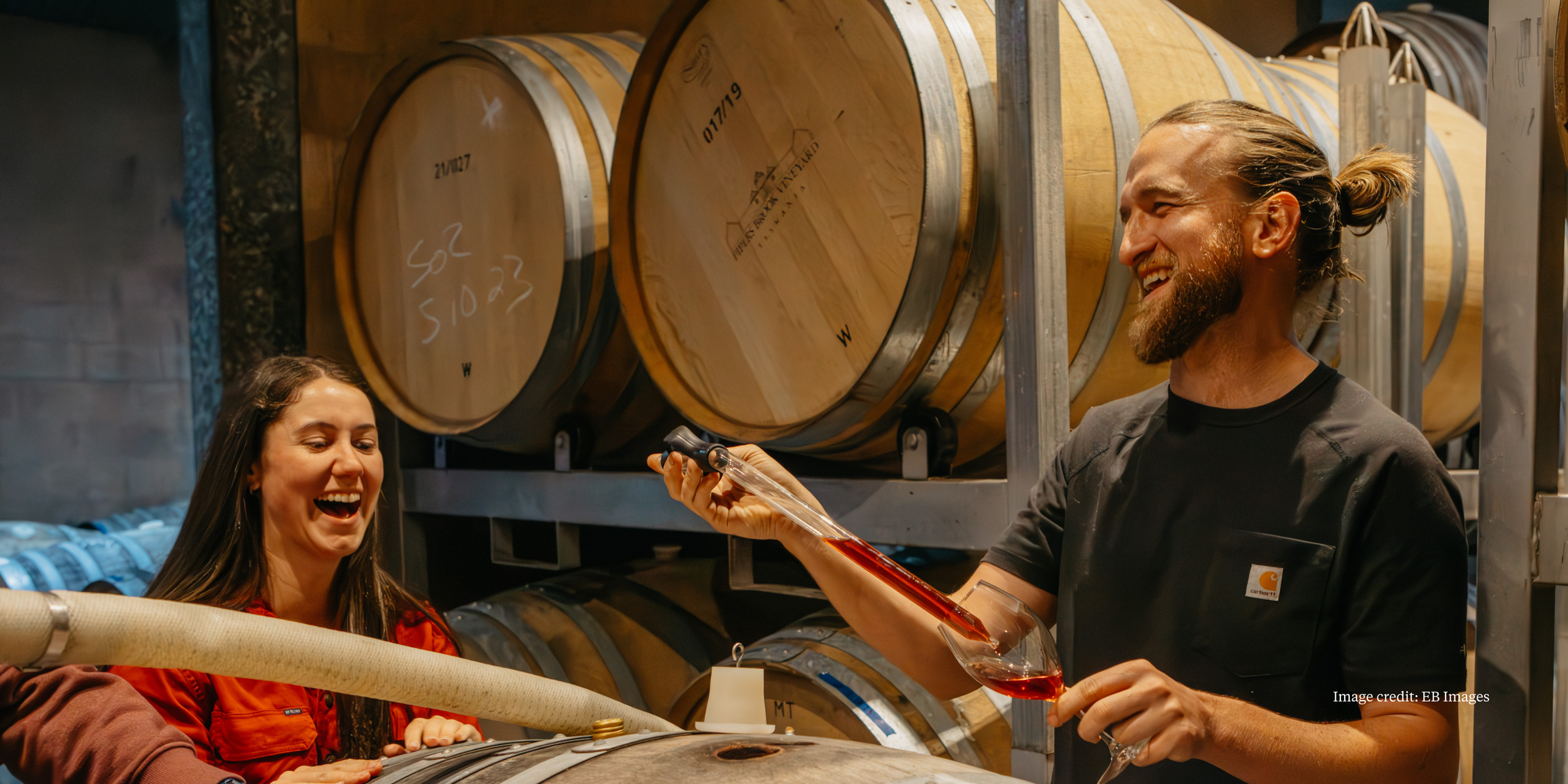 Vineyard Jobs | Tamar Valley Wine