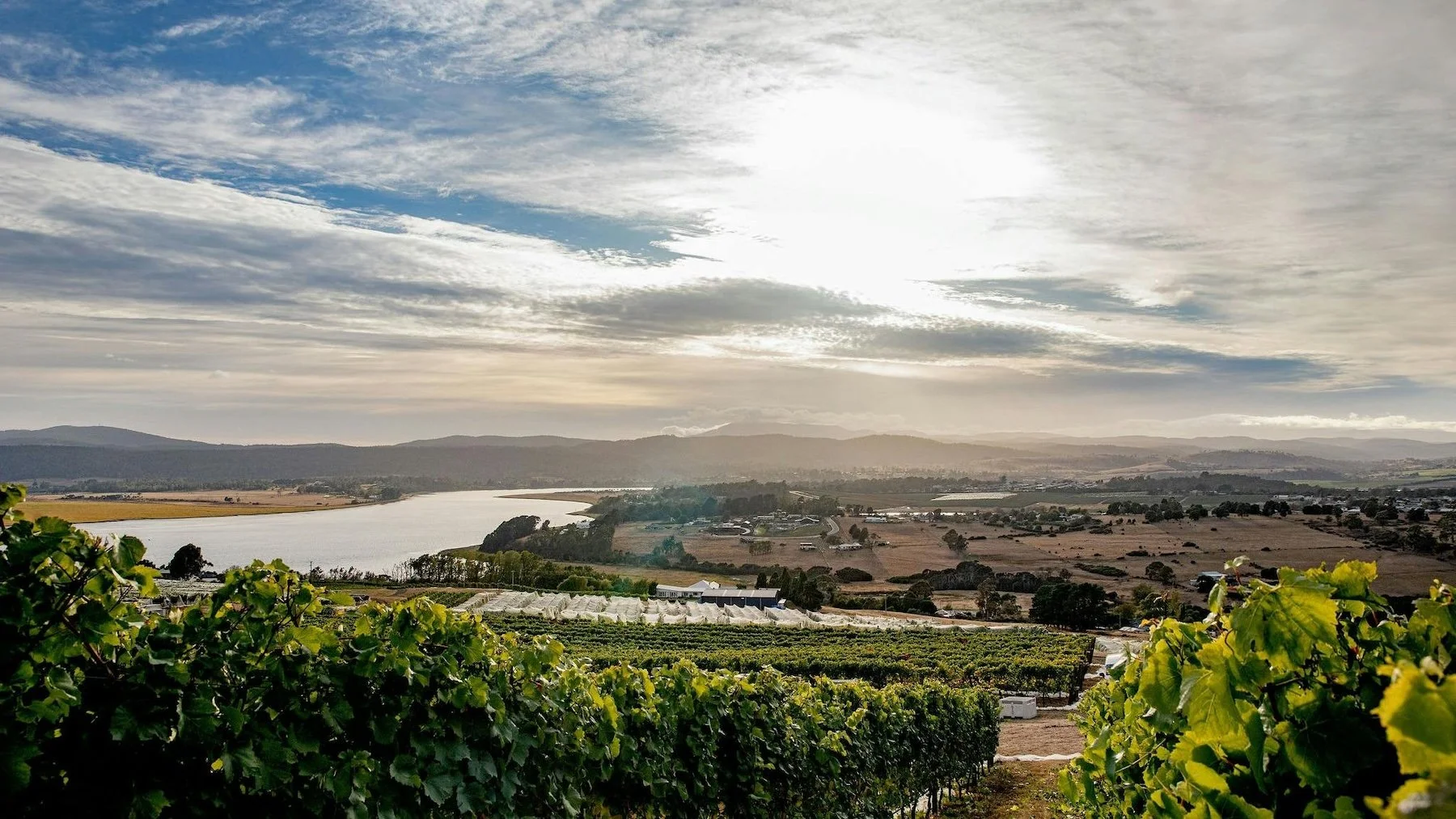 Travel Apps | Tamar Valley Wine