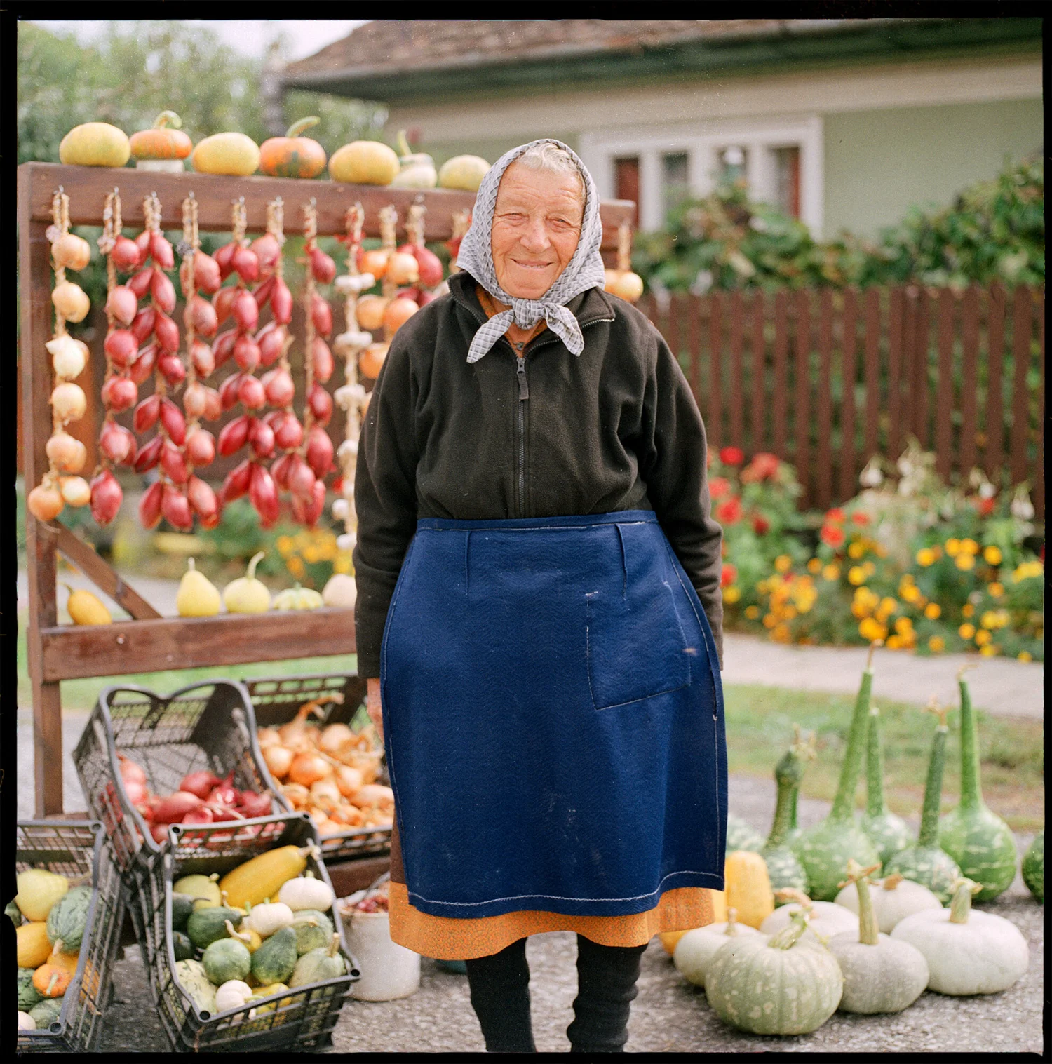Poppy — Louise Long - London Photographer & Writer