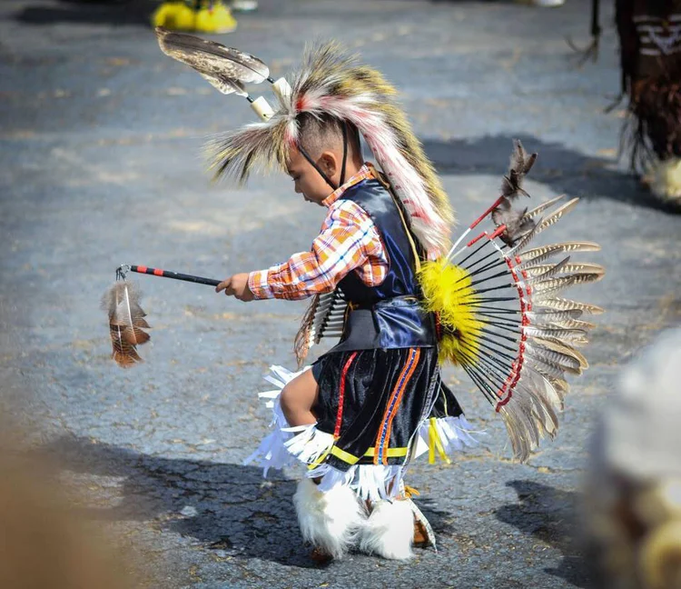 Annual Pow Wow — Council of Three Rivers American Indian Center