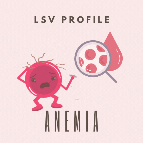 Health Testing Packages — Ly Srey Vyna Medical Group