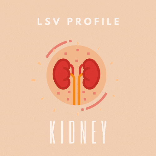 Health Testing Packages — Ly Srey Vyna Medical Group
