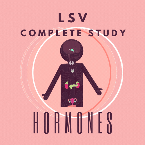 Health Testing Packages — Ly Srey Vyna Medical Group