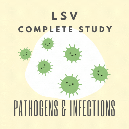 Health Testing Packages — Ly Srey Vyna Medical Group