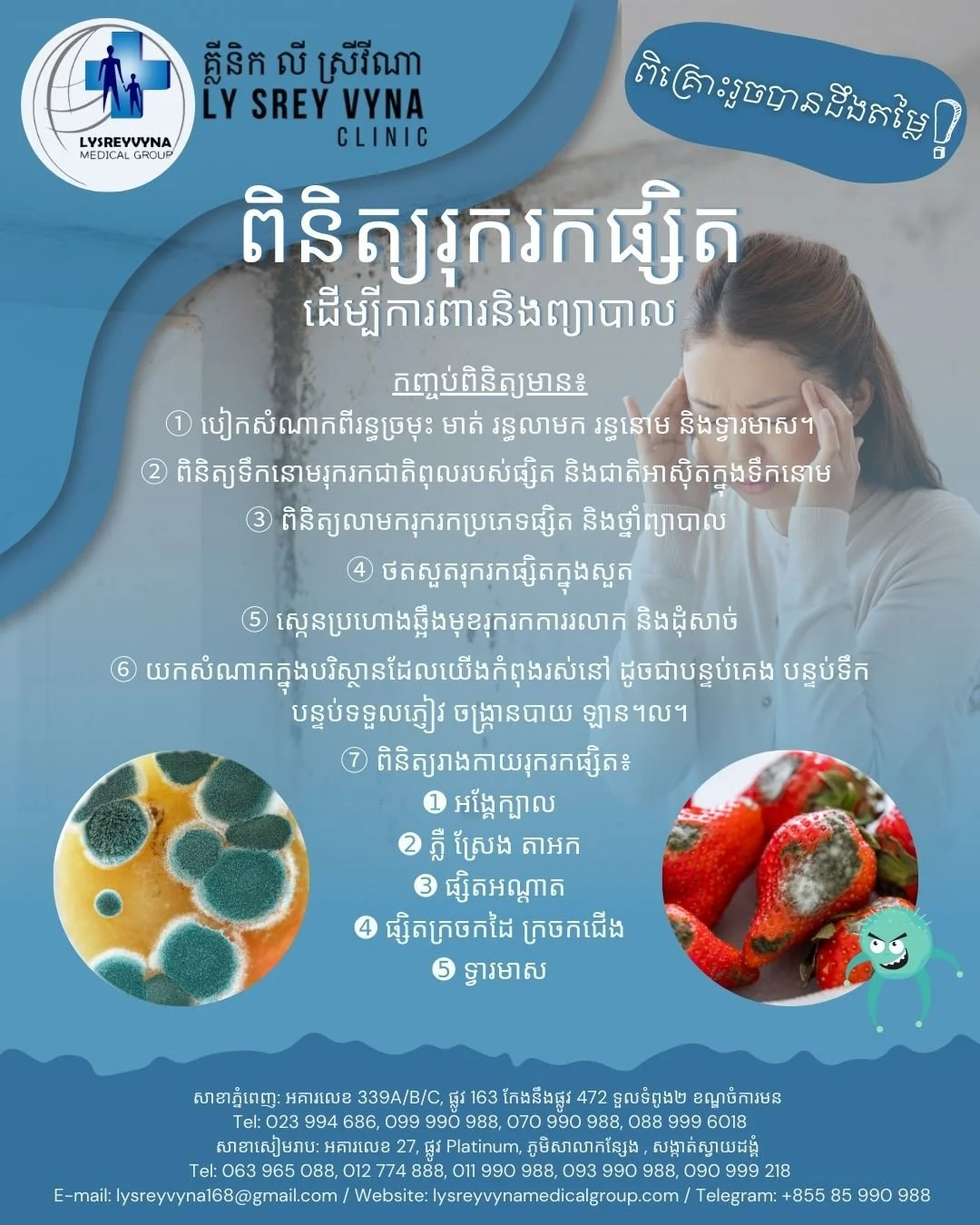 Ly Srey Vyna Medical Group