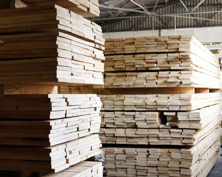 S.A. Pine — Saplings Timber Trading