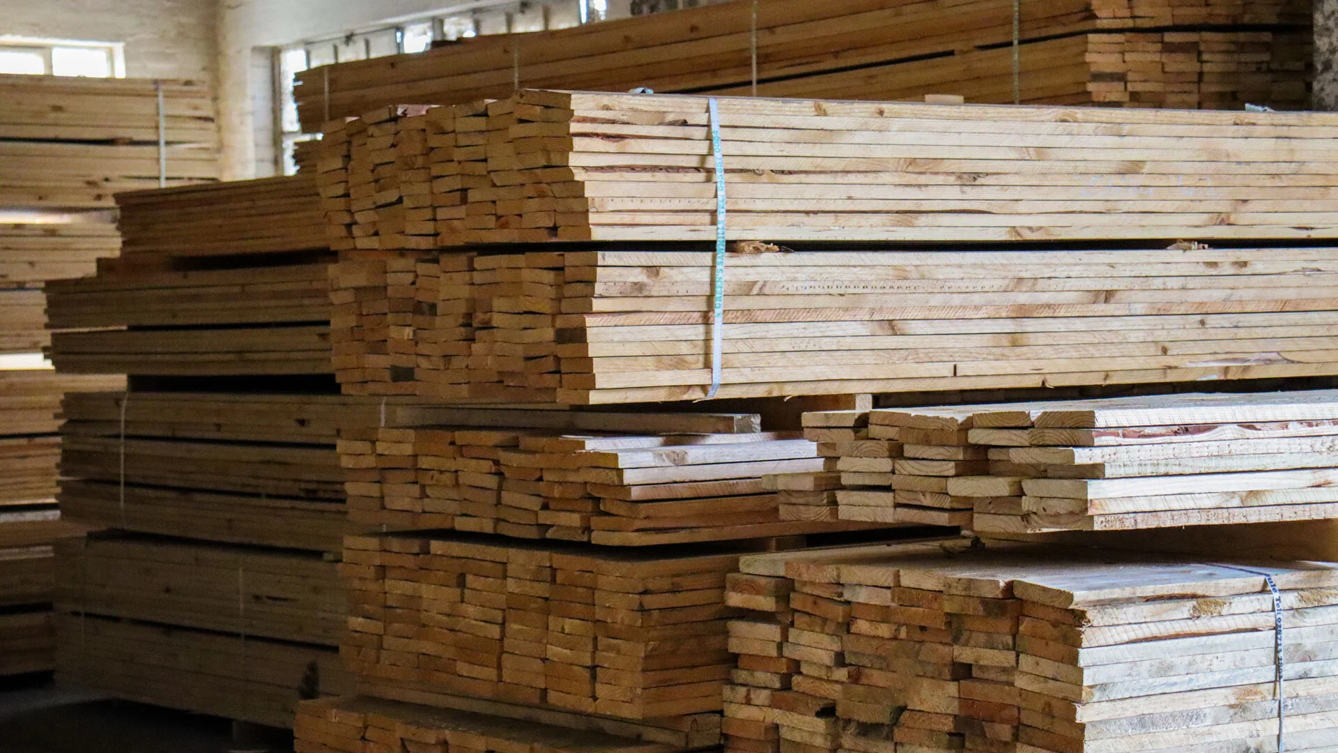 Saplings Timber Trading