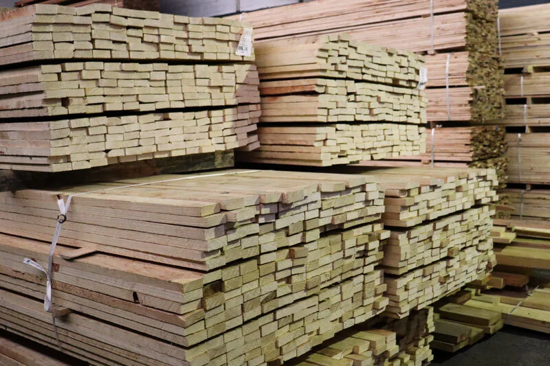S.A. Pine — Saplings Timber Trading