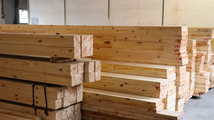 Saplings Timber Trading
