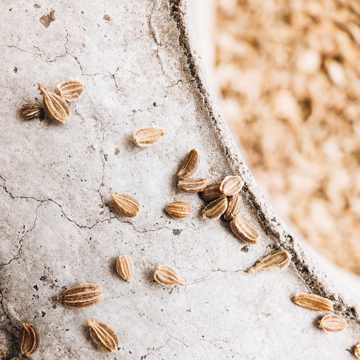 Resources — The Seed Sage | Raised Bed Garden & Garden Design Services