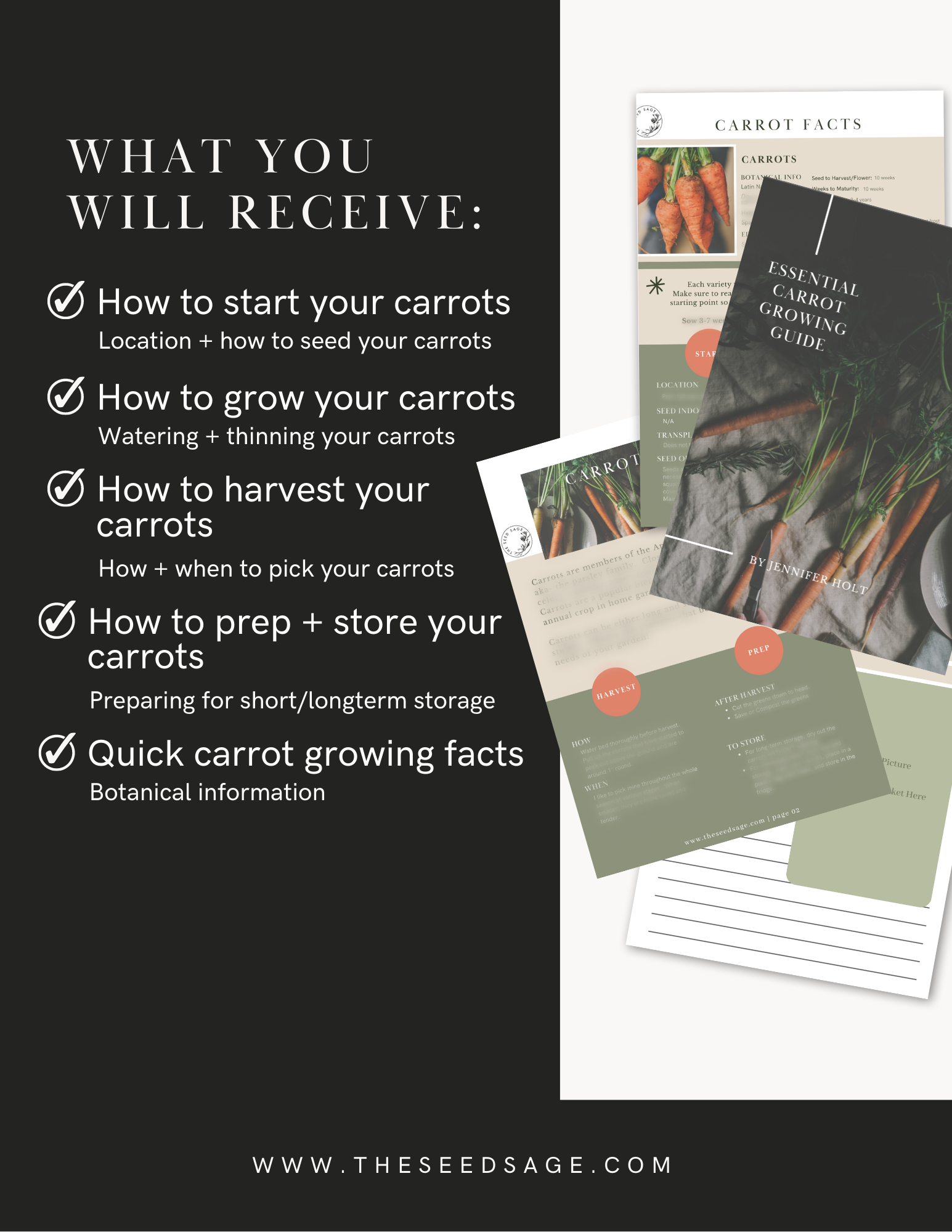 The Plant Size Garden Cheat Sheet | The Seed Sage | Urban Gardening ...