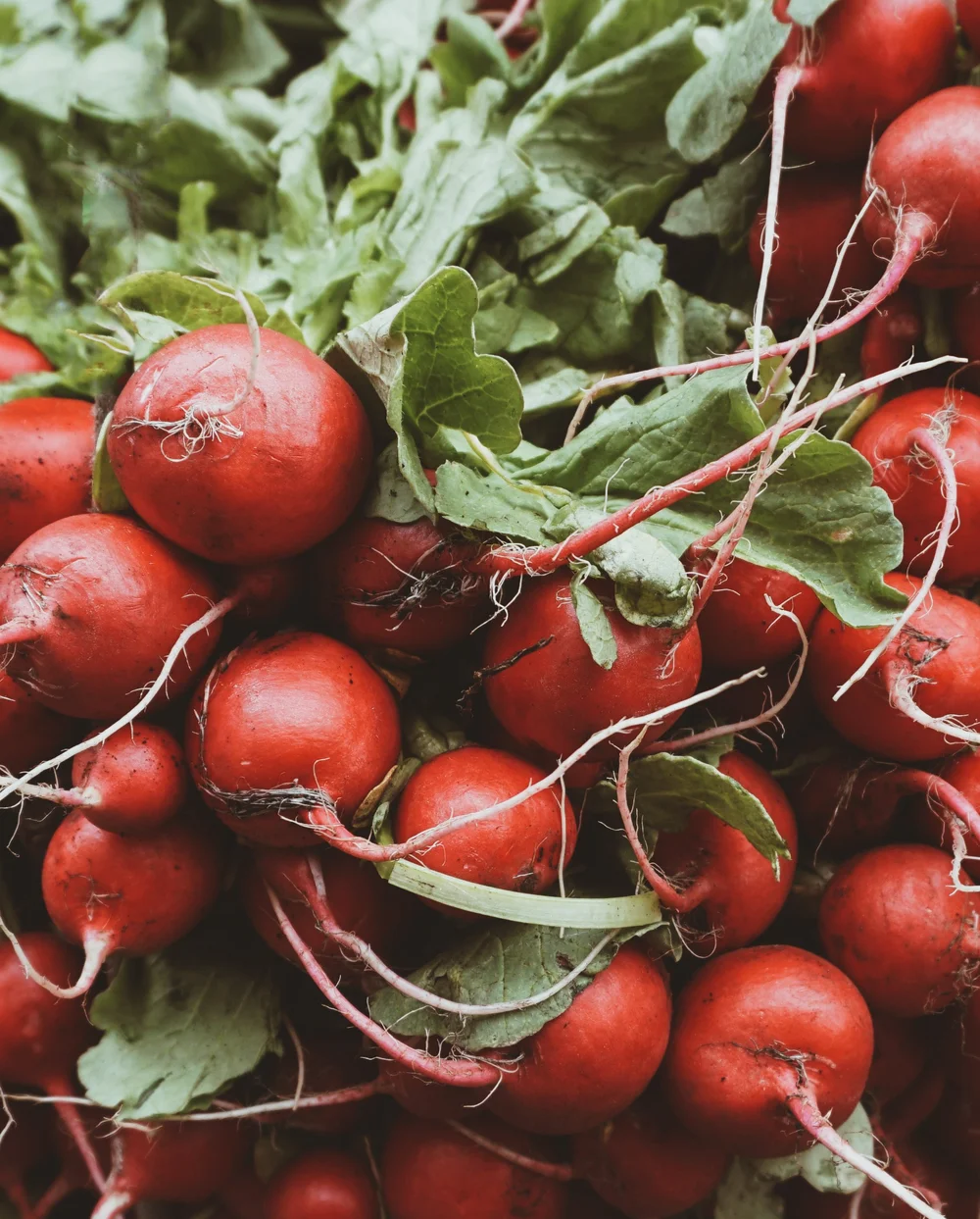 10 Fast-Growing Vegetables to Plant in Central Texas Now (and Harvest ...