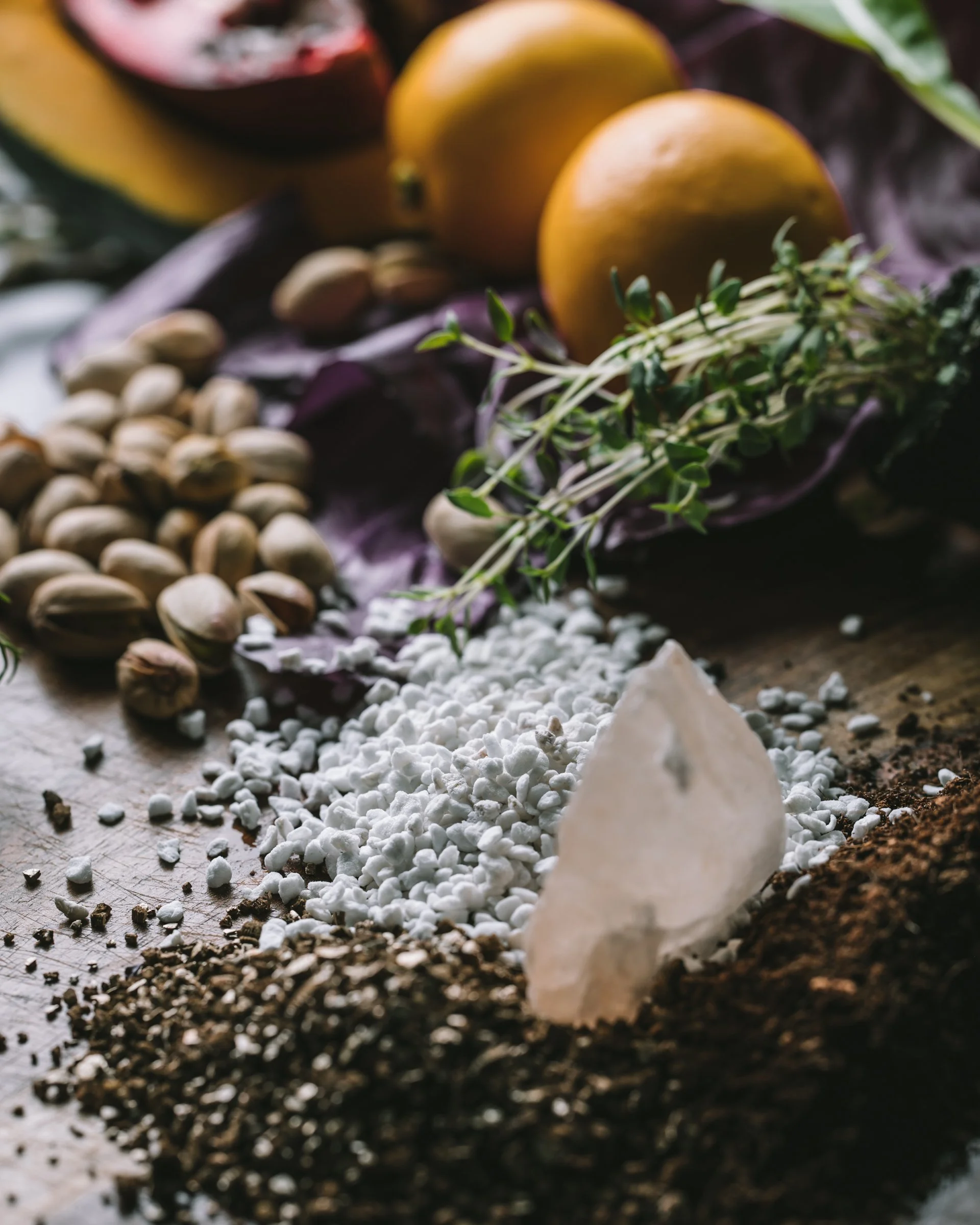 Make Your Own DIY Organic Seedling Mix for Cheap — The Seed Sage ...