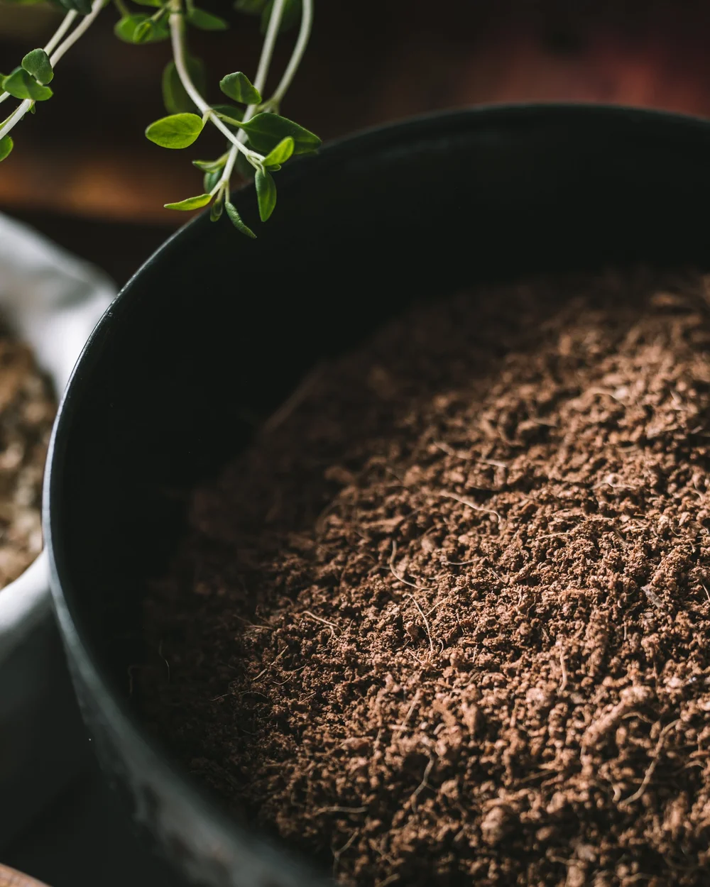 Make Your Own DIY Organic Seedling Mix for Cheap — The Seed Sage ...
