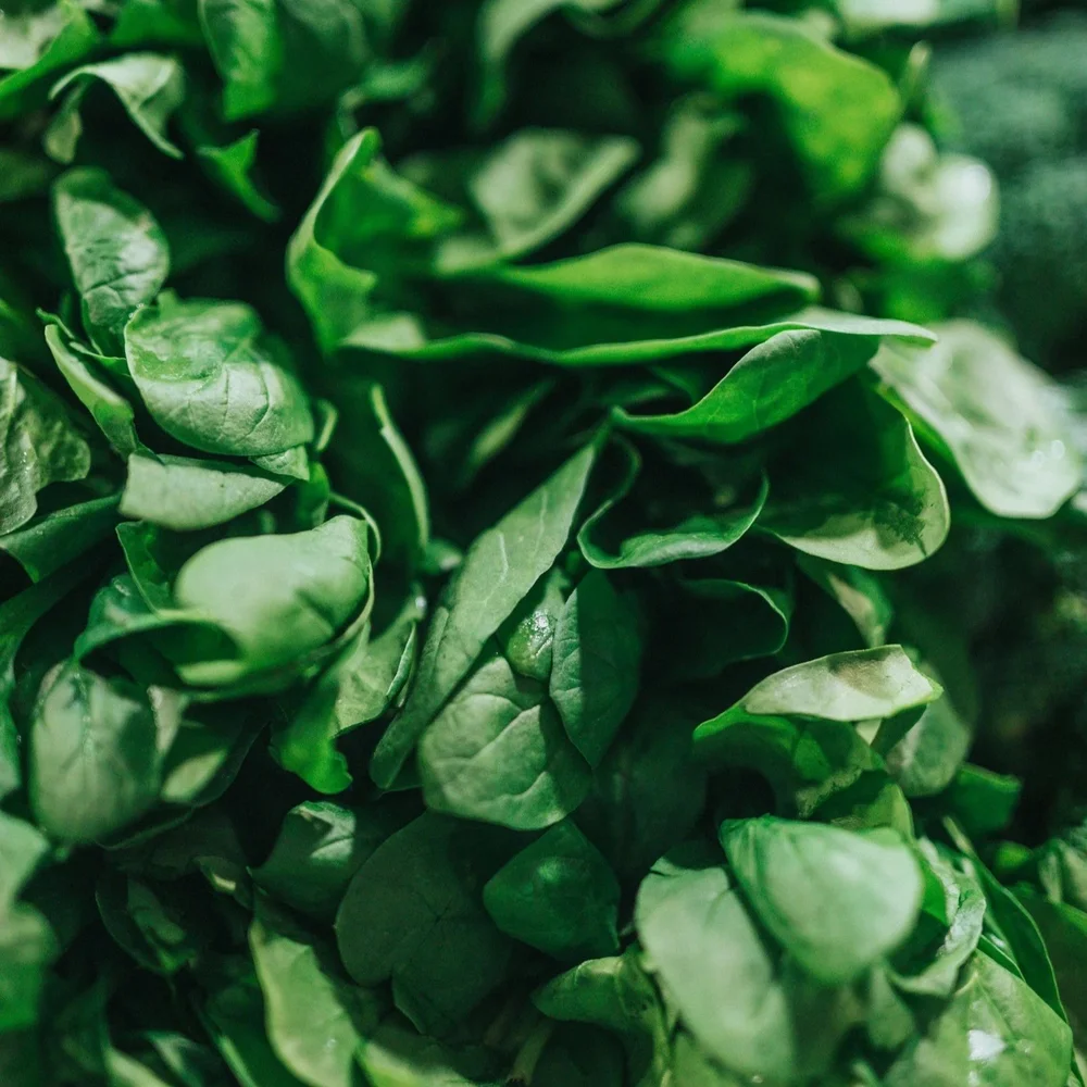 10 Fast-Growing Vegetables to Plant in Central Texas Now (and Harvest ...